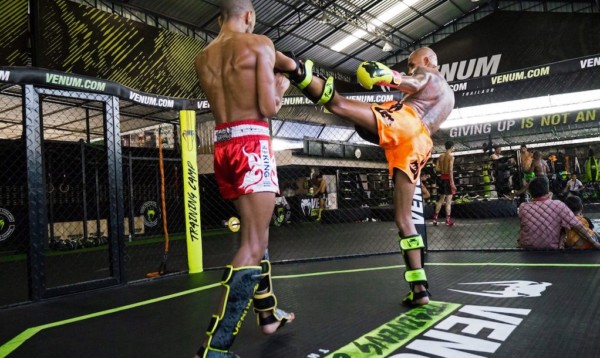 Die besten Muay Thai Camps in Thailand - Tiger Muay Thai, Venum,